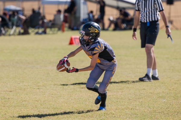 STYFL SUN DEVILS FOOTBALL – STYFL SUN DEVILS